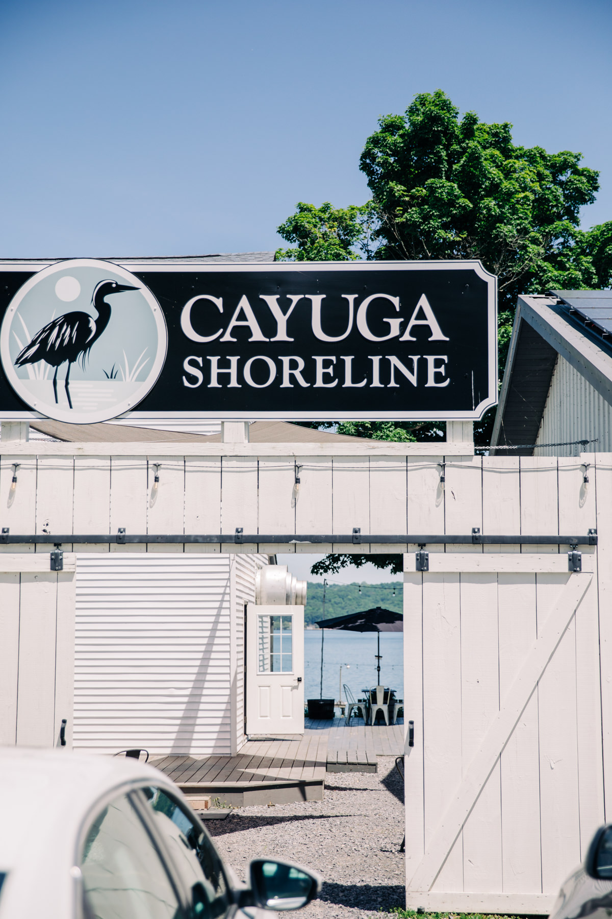 Cayuga Shoreline Wedding Photography: Jackie & Conrad » Hayley Anne ...